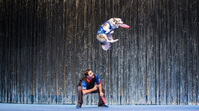 The Perondi's Stunt Dog Experience - The Lincoln Center